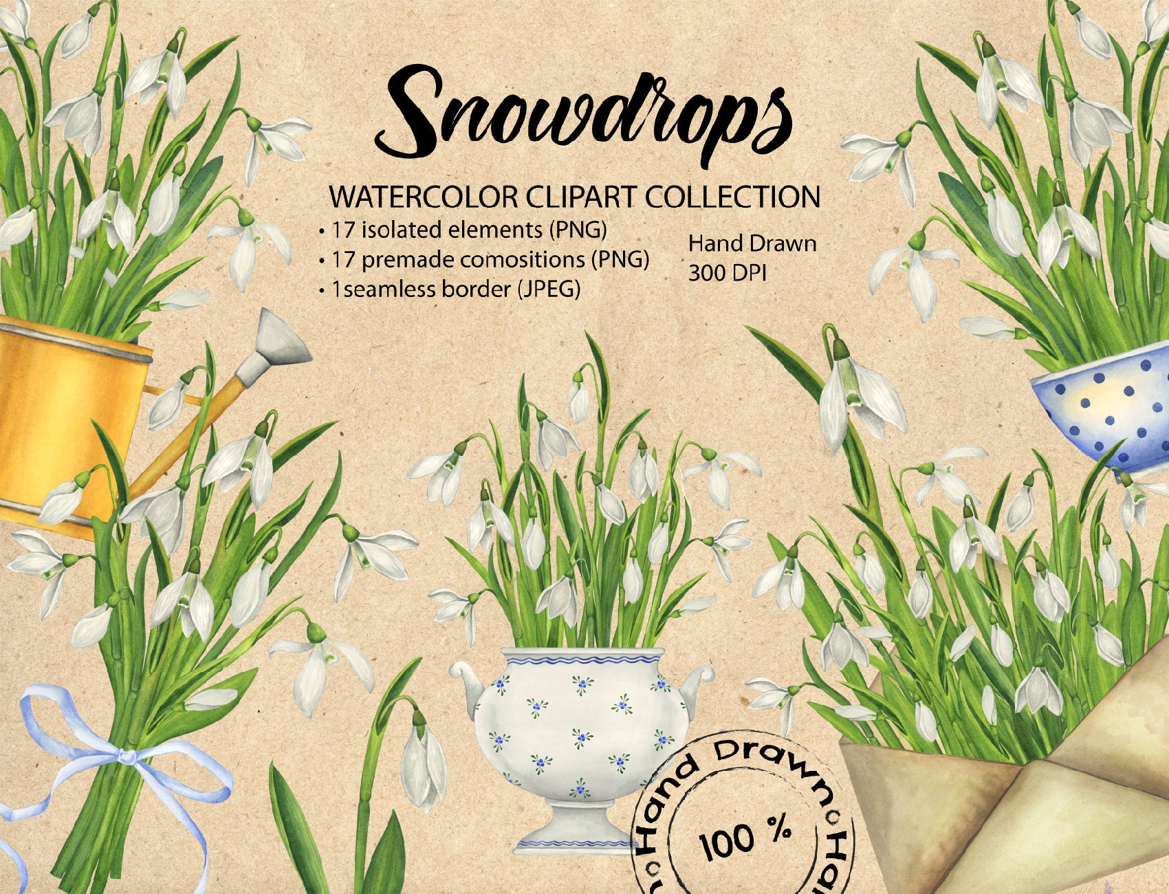 Snowdrop. Watercolor Clipart. Hand Drawn Illustration. Botanical Art ...