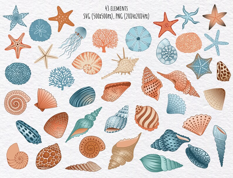 Underwater Creatures Vector Collection. Seashell, Starfish Clipart ...