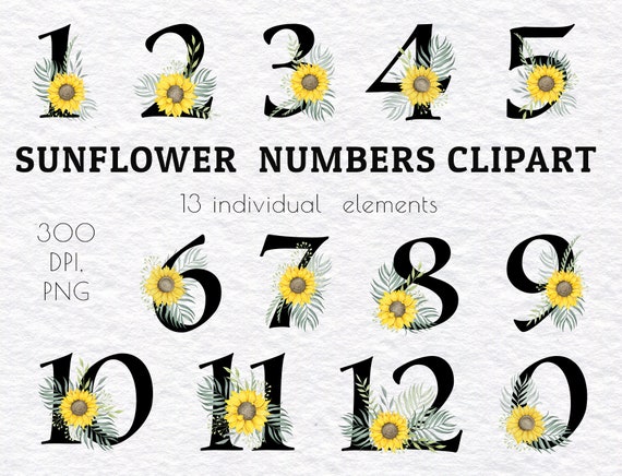 Watercolor Numbers Clipart Sunflower Numbers Floral Number - Etsy