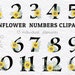 Watercolor Numbers Clipart, Sunflower Numbers, Floral Number Clipart ...
