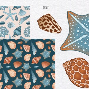 Underwater Creatures Vector Collection. Seashell, Starfish Clipart ...