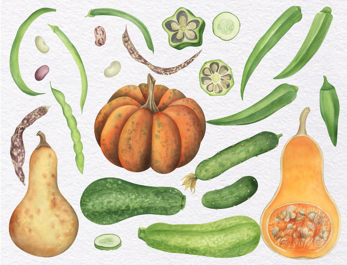 Regular Vegetables Clipart, Watercolor Clipart Set, Root Vegetables ...