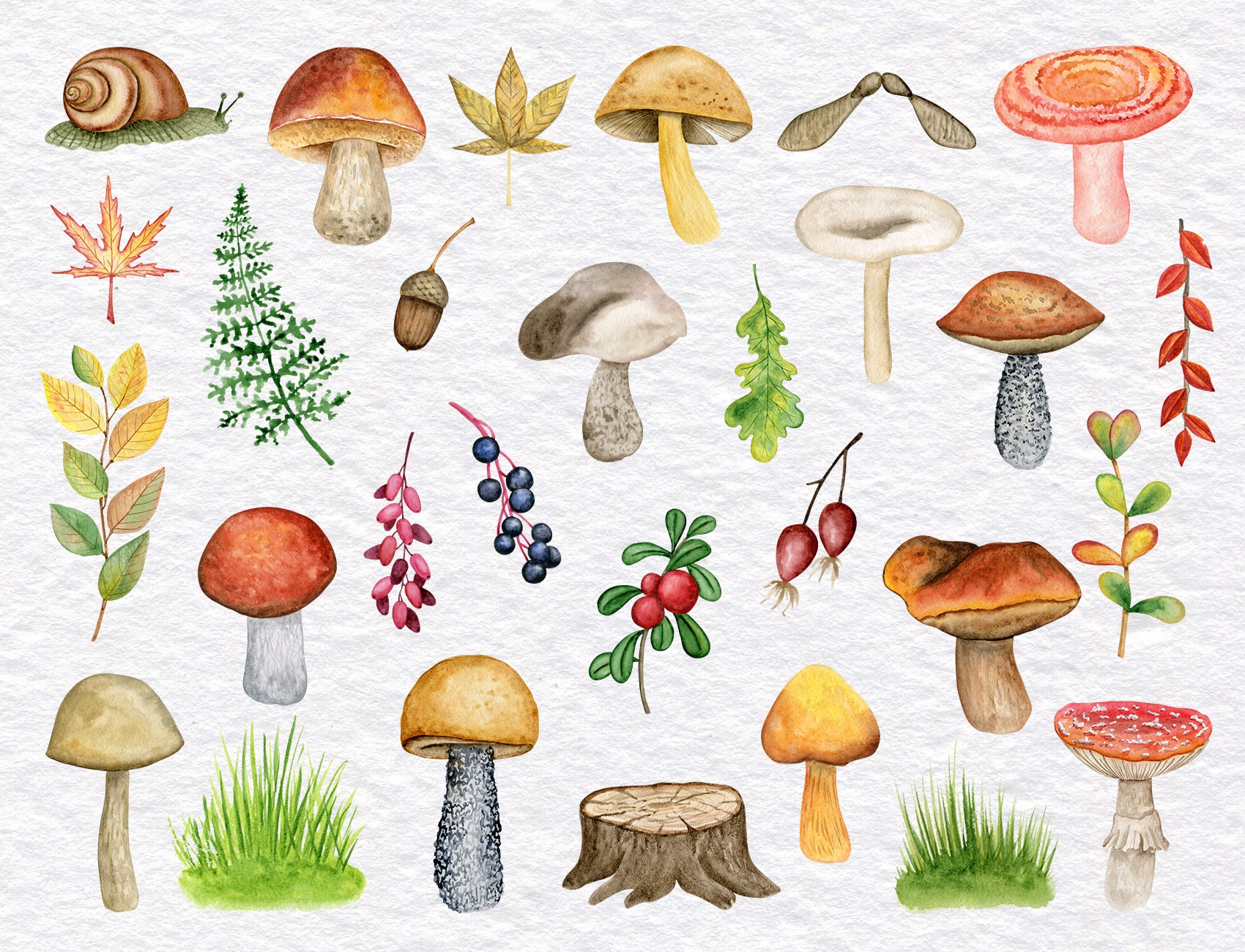 Watercolor Forest Mushrooms Clipart Autumn Forest Fall - Etsy