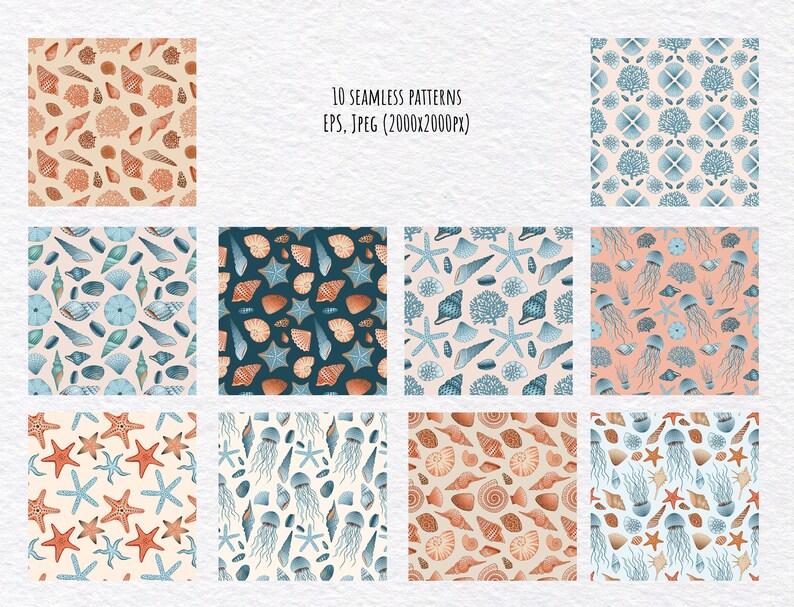 Underwater Creatures Vector Collection. Seashell, Starfish Clipart ...