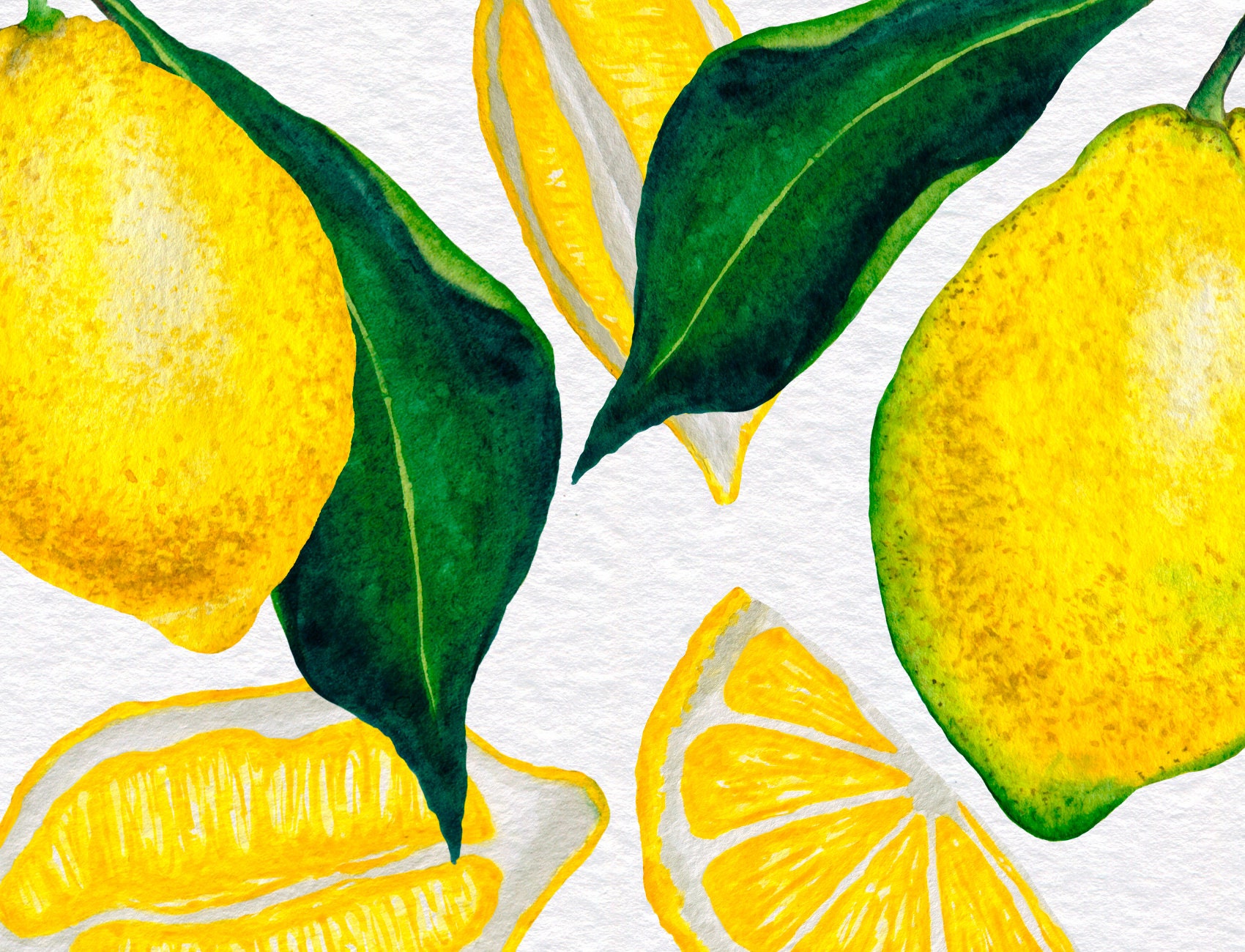Watercolor Lemons Clipart, Lemons Clipart, Summer Clipart, 20 Isolated ...