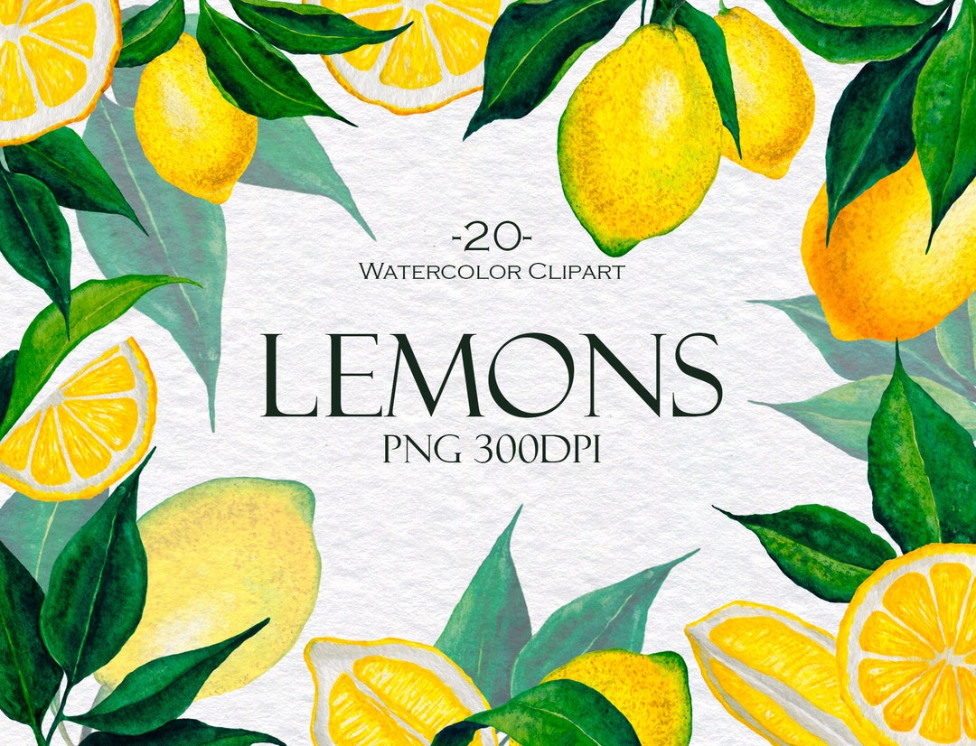 Watercolor Lemons Clipart, Lemons Clipart, Summer Clipart, 20 Isolated ...