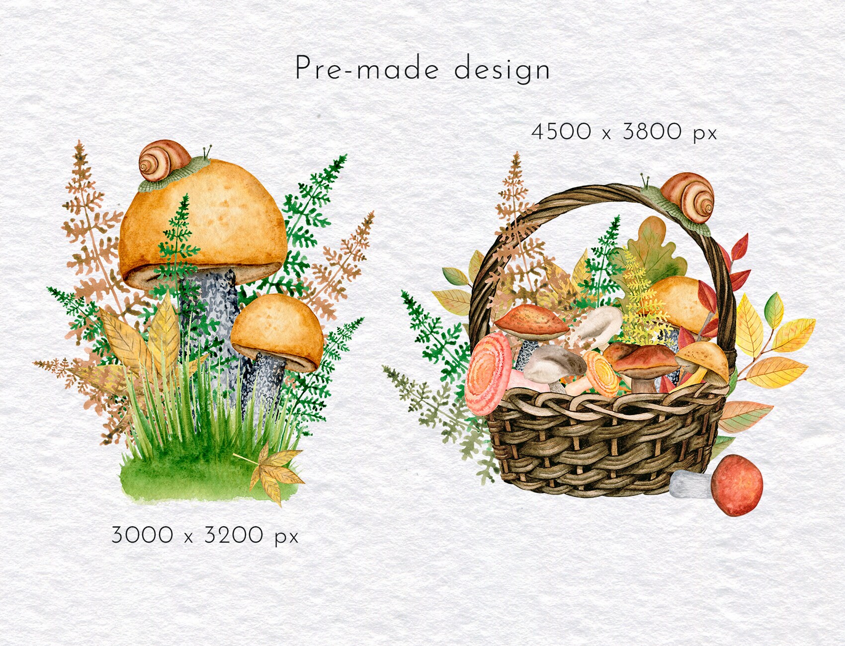 Watercolor Forest Mushrooms Clipart Autumn Forest Fall - Etsy