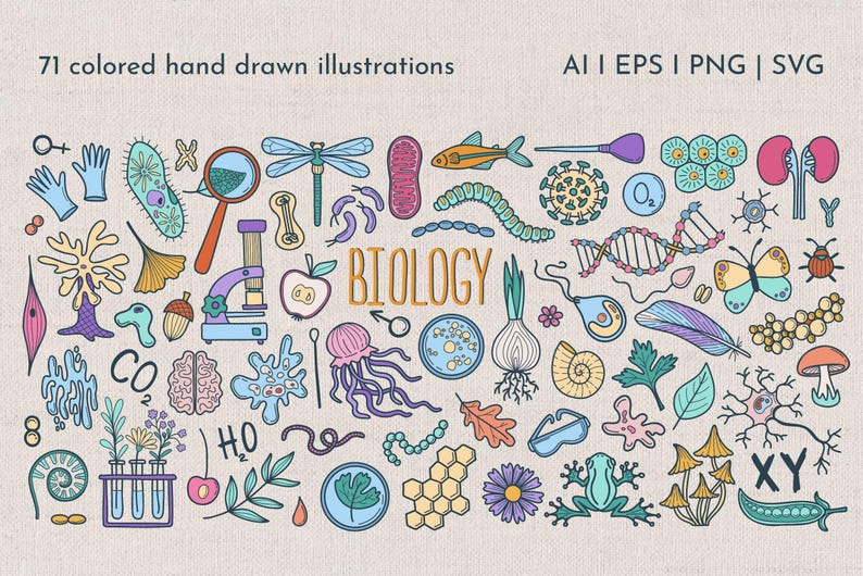 Hand Drawn Biology Clipart Collection. Biology Poster. Laboratory ...