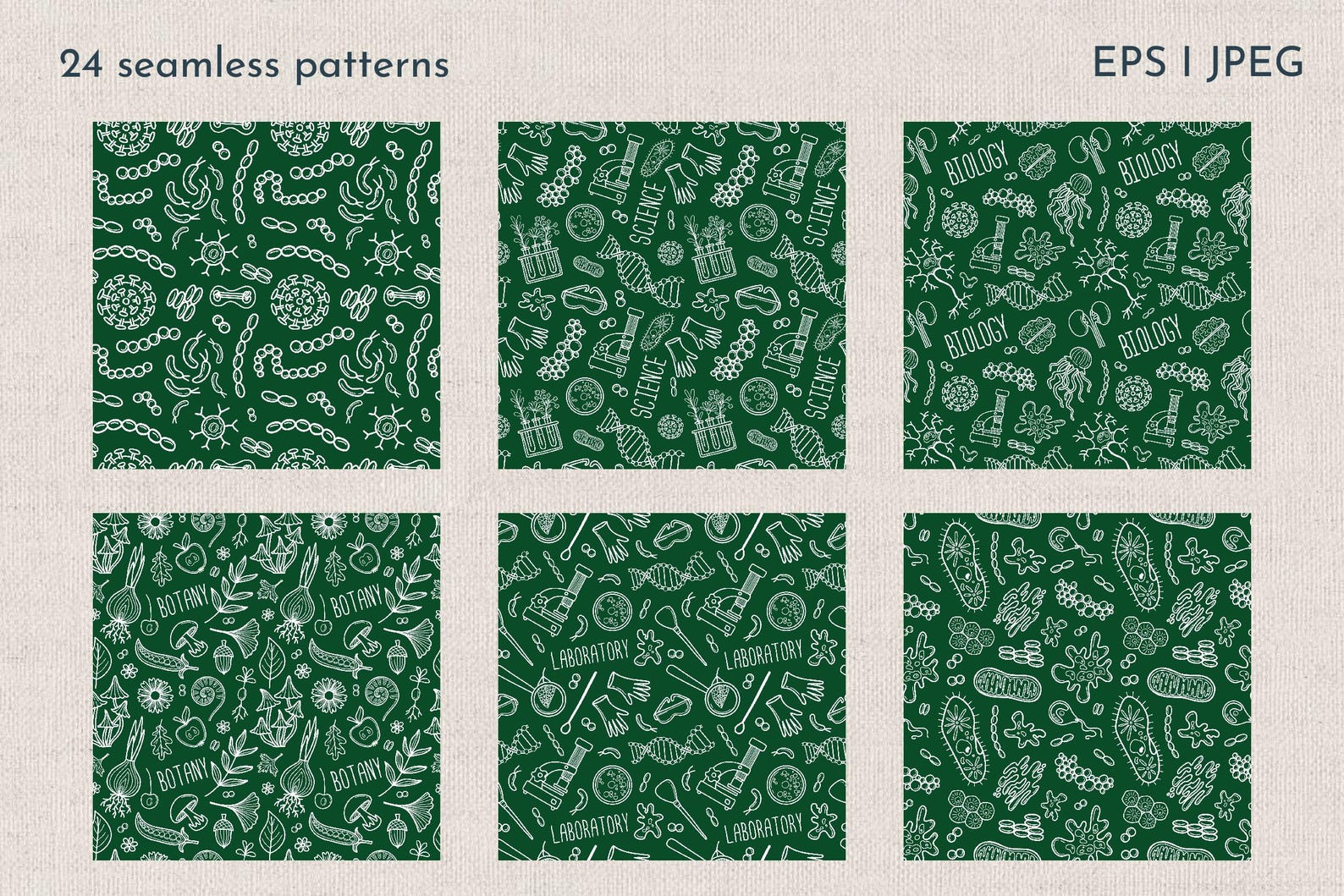 Hand Drawn Biology Clipart Collection. Biology Poster. Laboratory ...