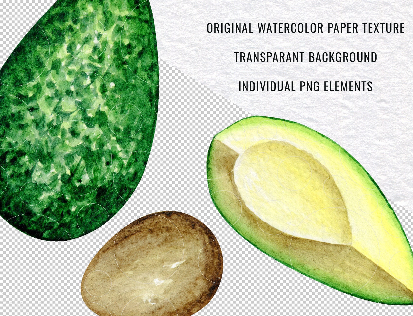 Avocado Watercolor Clipart, Food Watercolor Clipart, Avicado PNG ...
