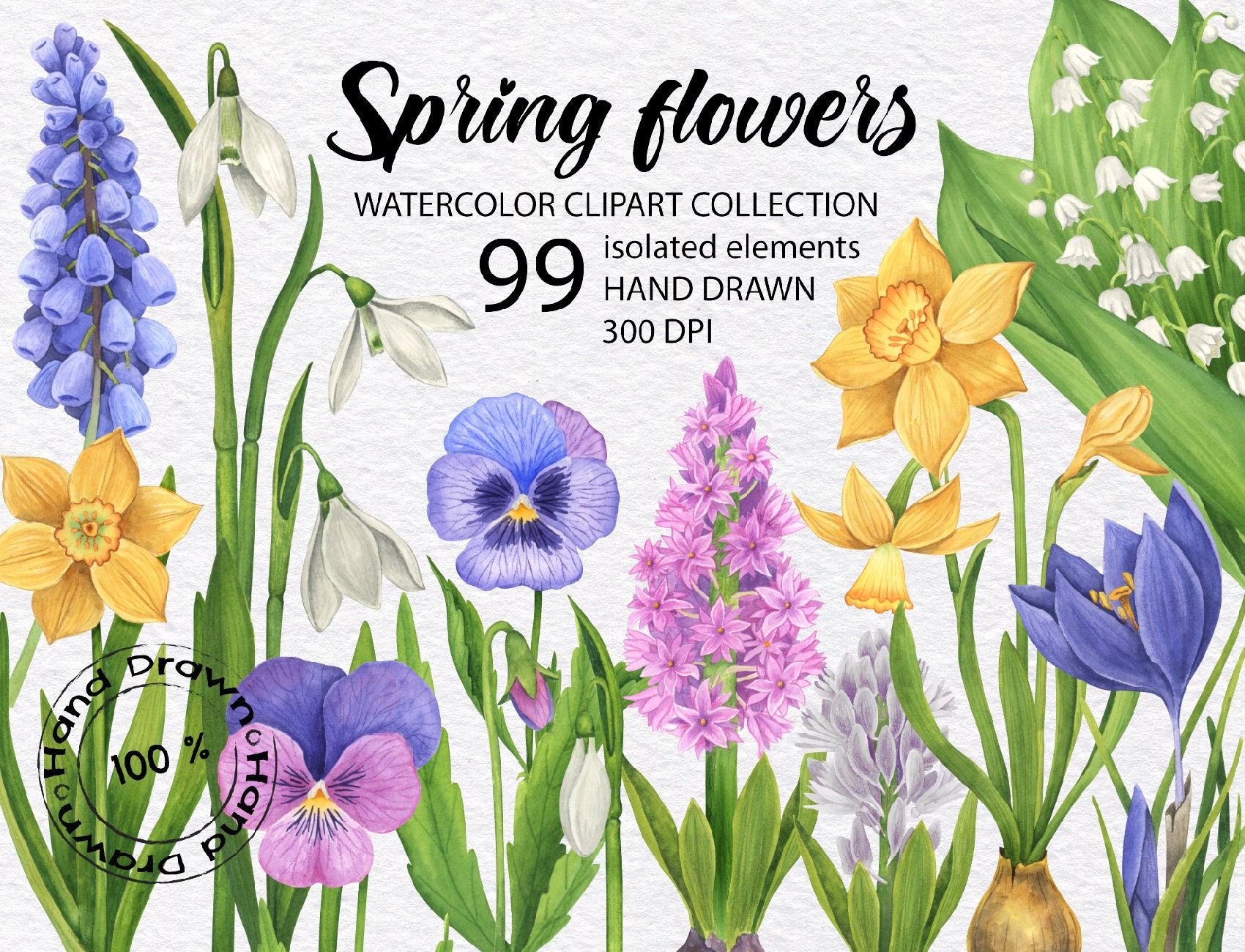 Watercolor Spring Flowers Set. Hand Drawn Floral Clipart. Snowdrop ...