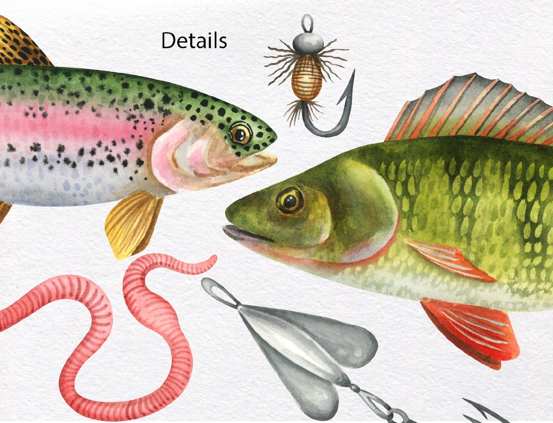 Fly Fishing Clipart. Watercolor Clipart Set. Trout Fish. Vintage ...