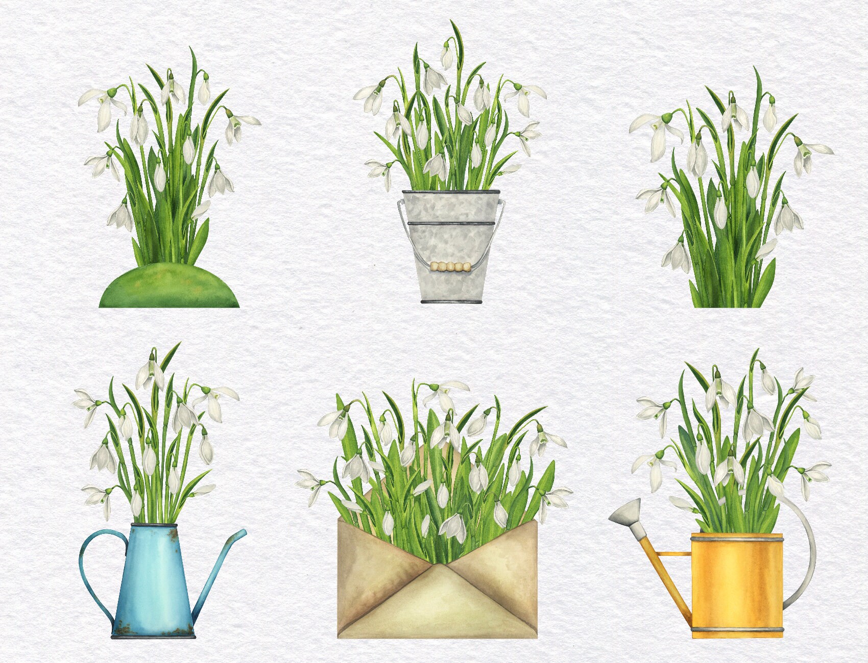 Snowdrop. Watercolor Clipart. Hand Drawn Illustration. Botanical Art ...