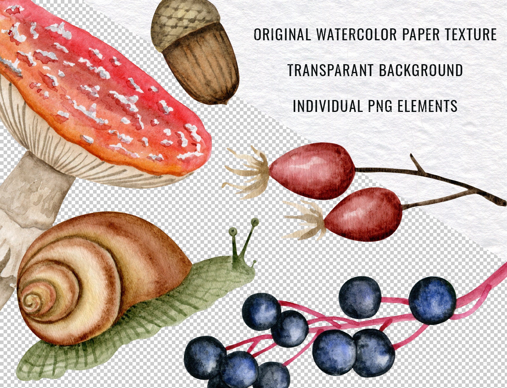 Watercolor Forest Mushrooms Clipart Autumn Forest Fall - Etsy