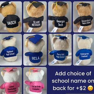 Custom Graduation Bear, Graduation Gifts, Graduation 2024, Graduation ...