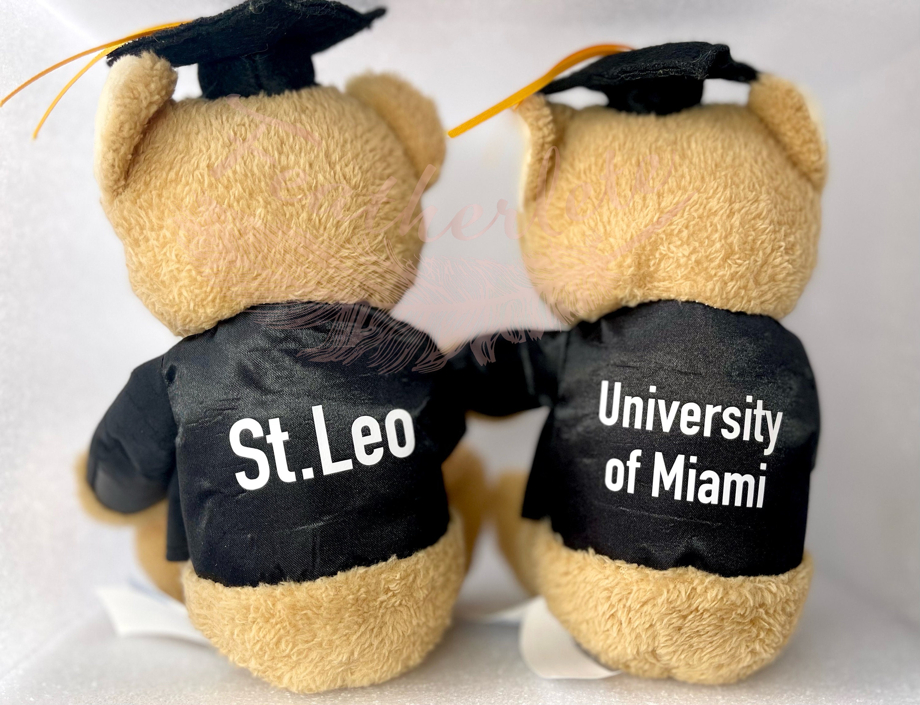 Custom Graduation Bear Graduation Gifts Graduation 2023 - Etsy