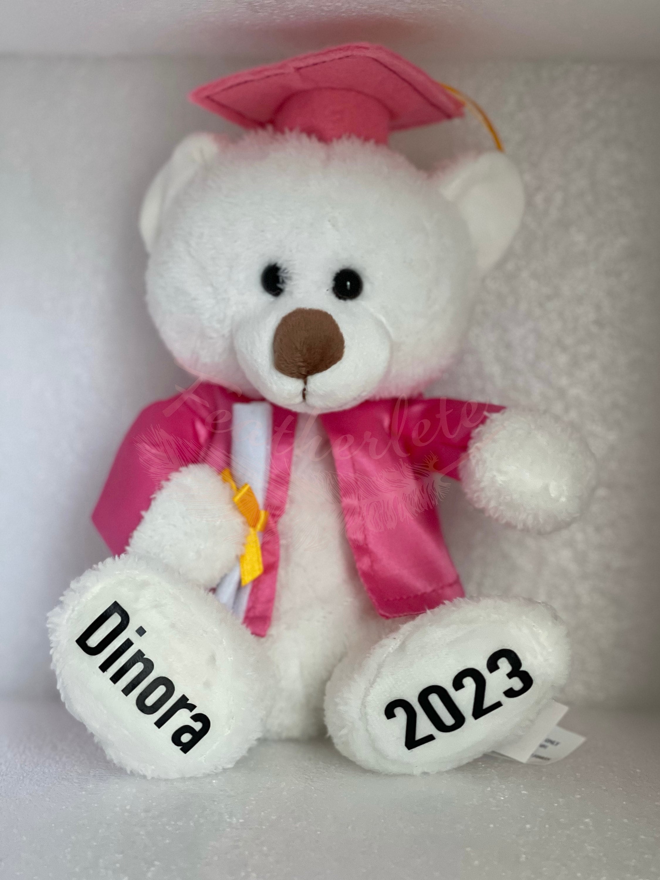 Custom Graduation Bear Graduation Gifts Graduation 2023 - Etsy