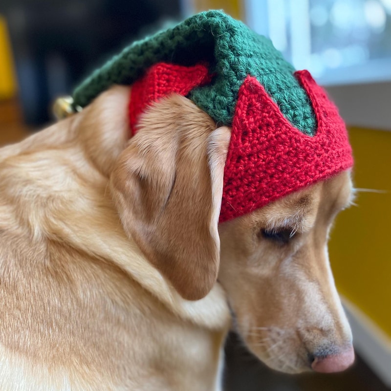 Dog Antler Santa Hat - Etsy