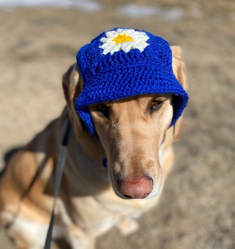 Summer Dog Hat Crochet Pattern (large) - Etsy