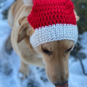 Santa Dog Hat Crochet PATTERN - Etsy