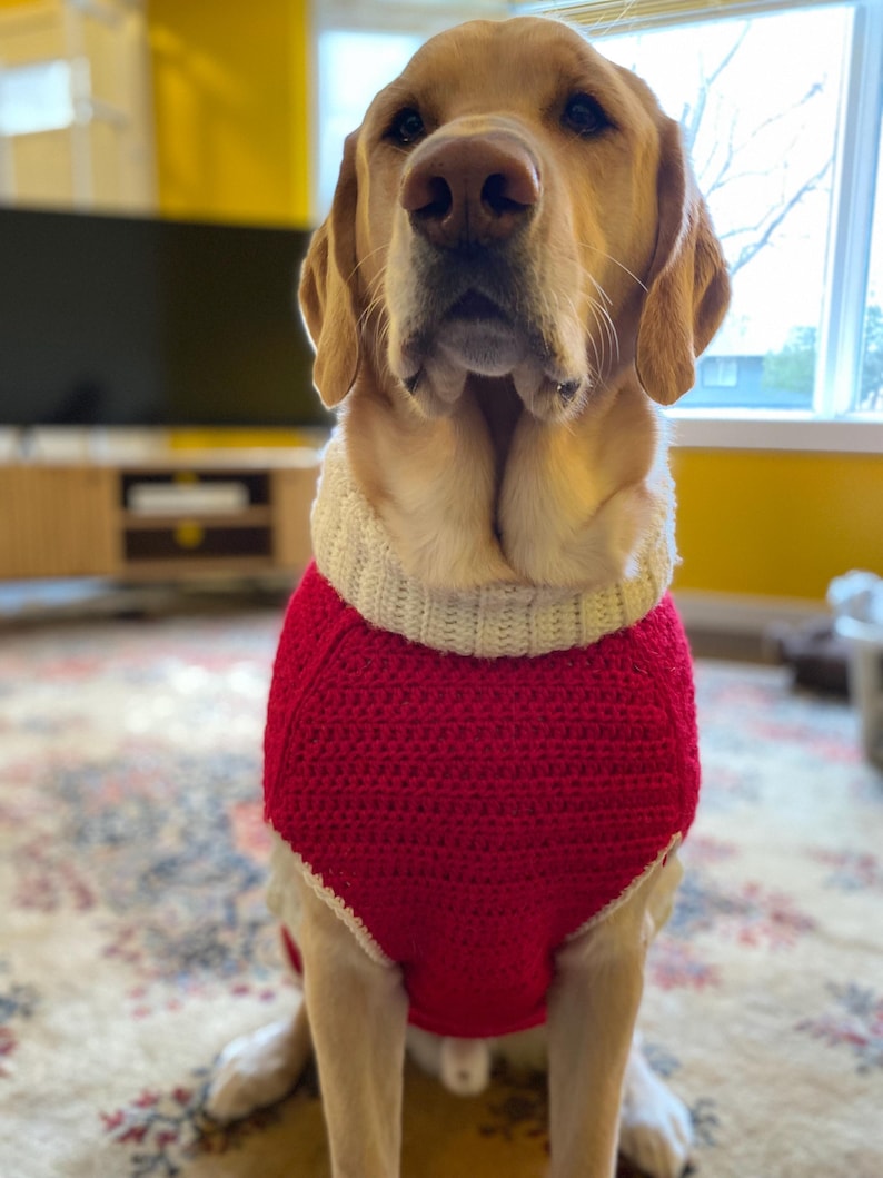 Crochet Large Dog Sweater Pattern - Etsy