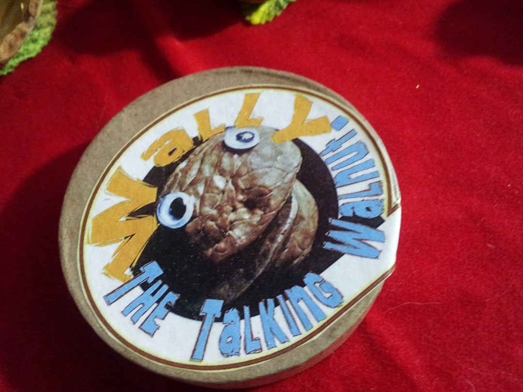 Wally the Talking Walnut - Etsy