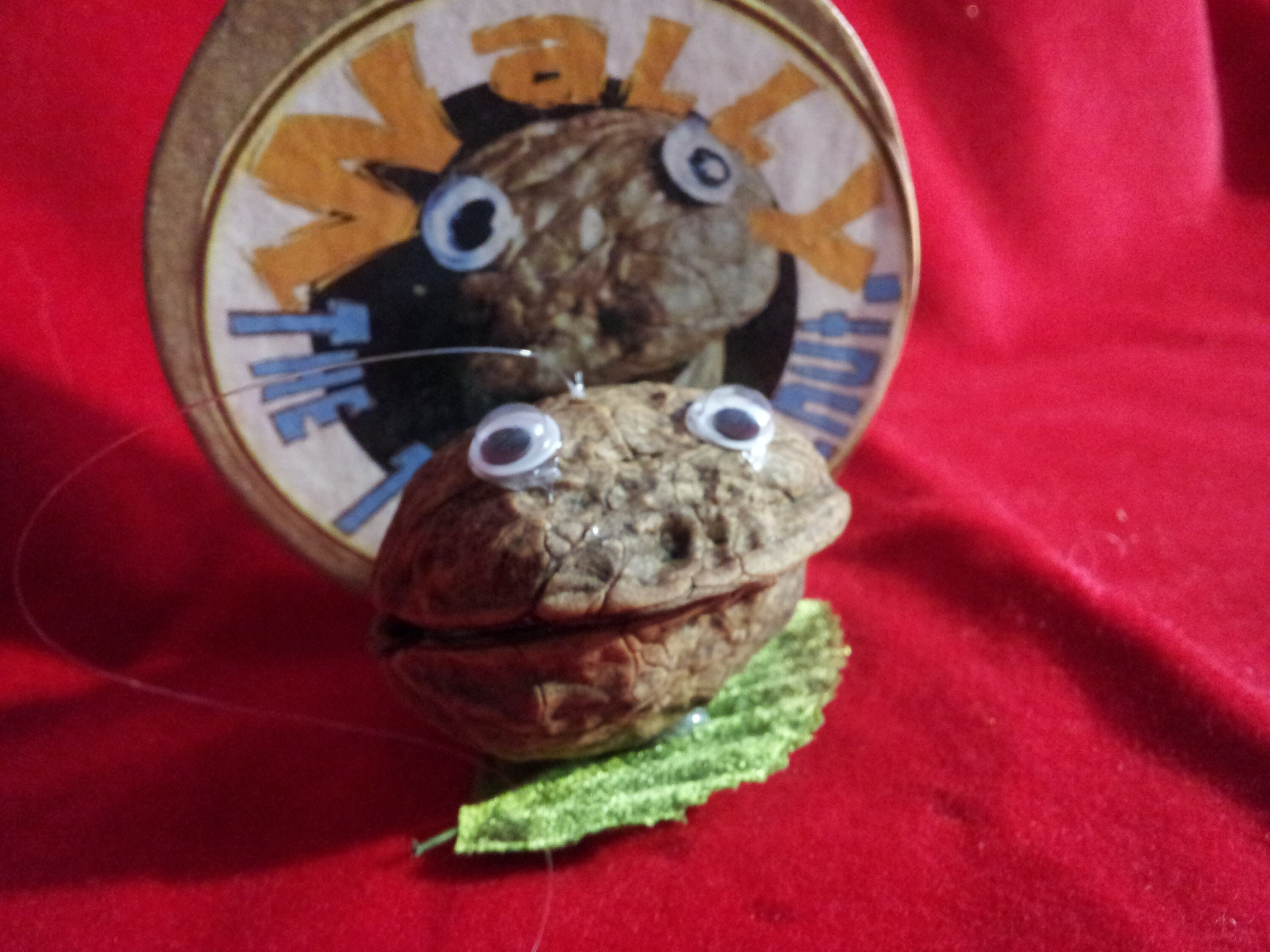 Wally the Talking Walnut - Etsy