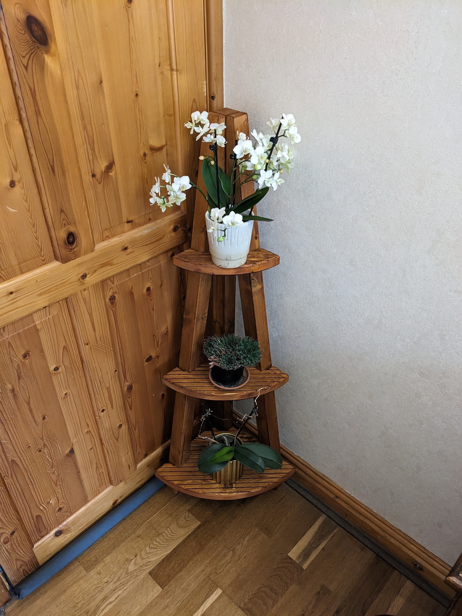 Corner Freestanding Plant Stand Wooden Plant Staging Plant Ladder for ...