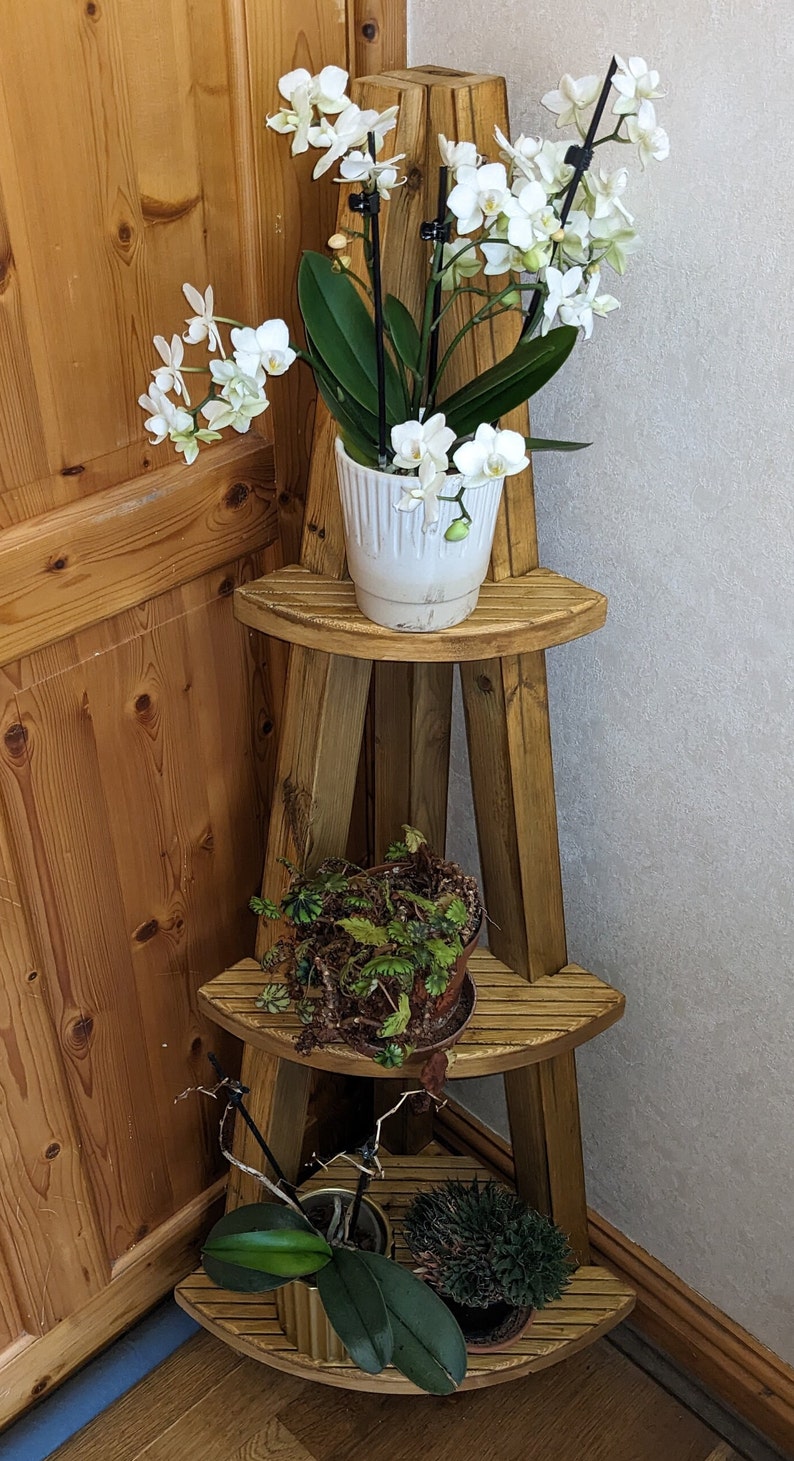 Corner Wooden Plant Stand: 3/4 Tier Plant Ladder for Home or Garden - Etsy