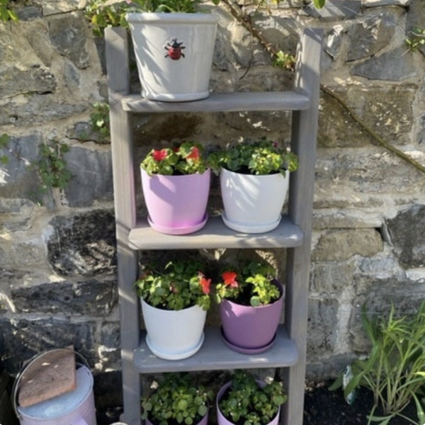 Ladder Plant Stand - Etsy UK