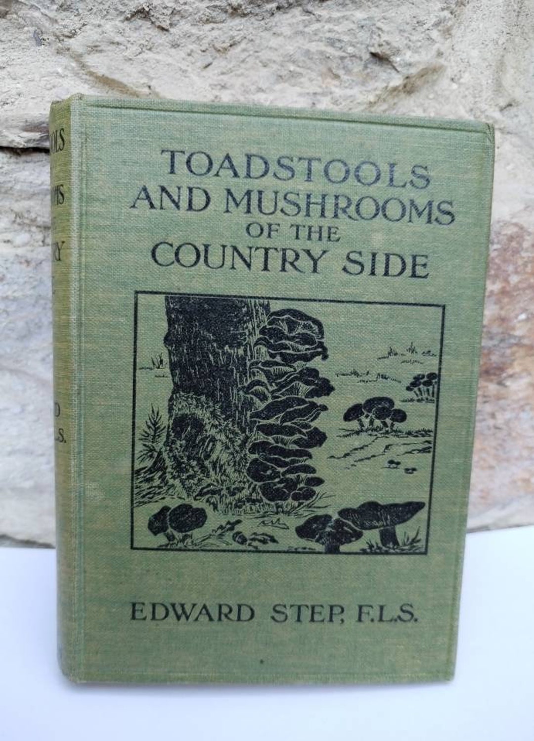 Toadstools and Mushrooms of the Countryside Book by Edward Step F.L.S ...
