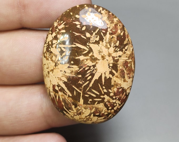 Starburst Jasper - Firecracker Jasper - Spider Jasper - Crystal for ...