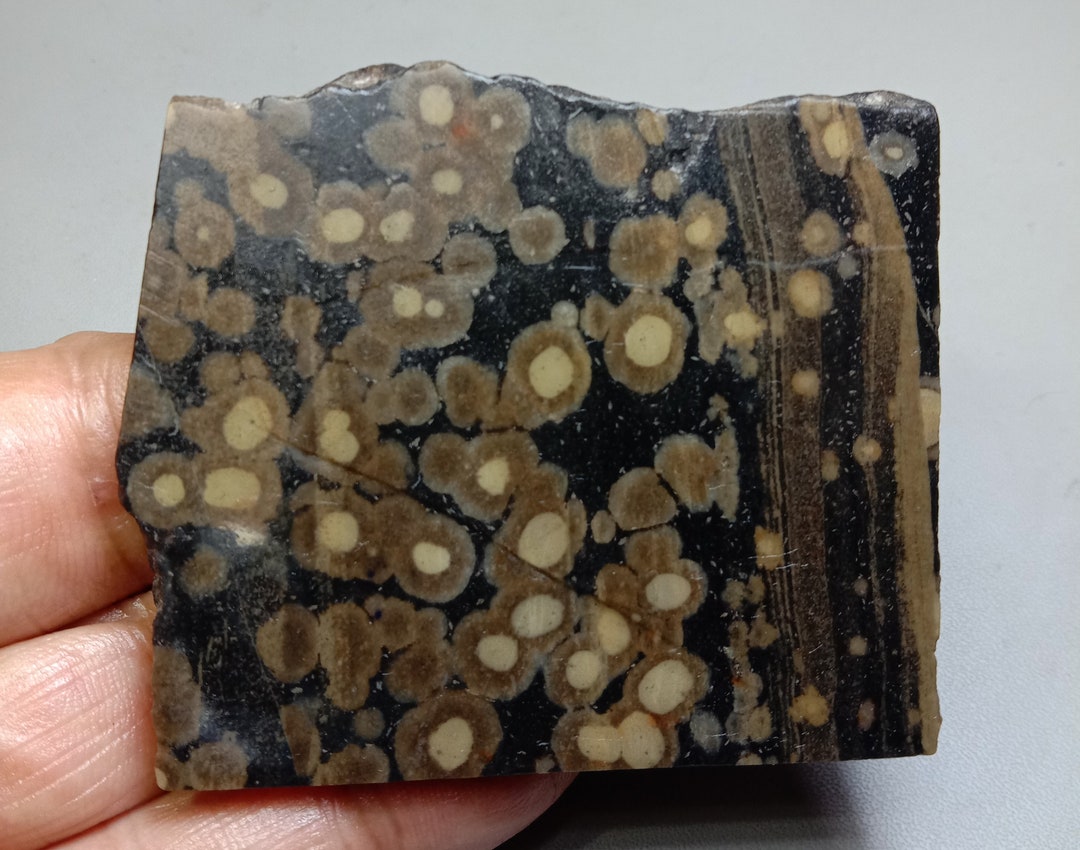 Coral Jasper Slab - Flower Jasper,variolite Jasper,oolitic Jasper Slab ...