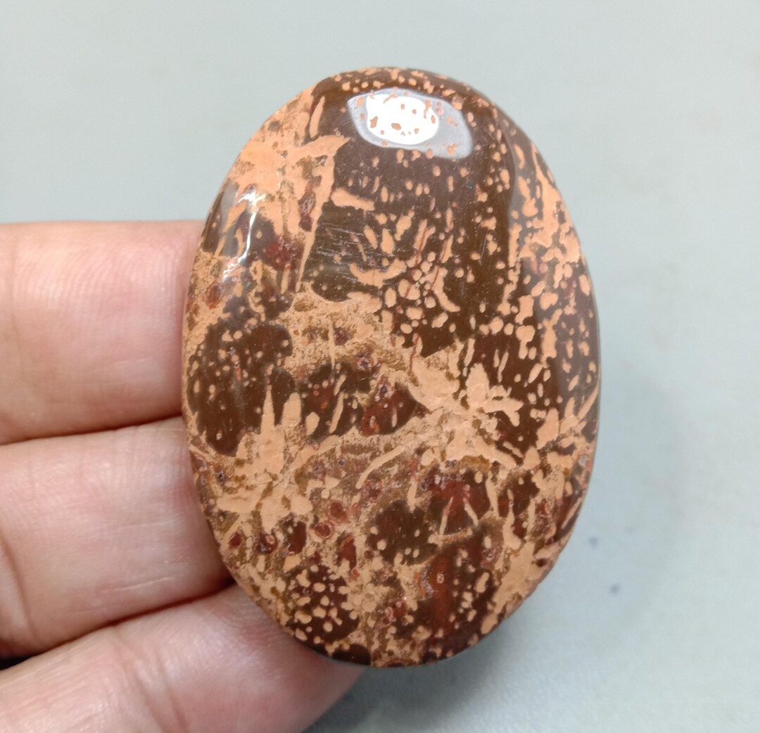 Jasper - Starburst Jasper - Spider Jasper - Crystal for Creativity ...