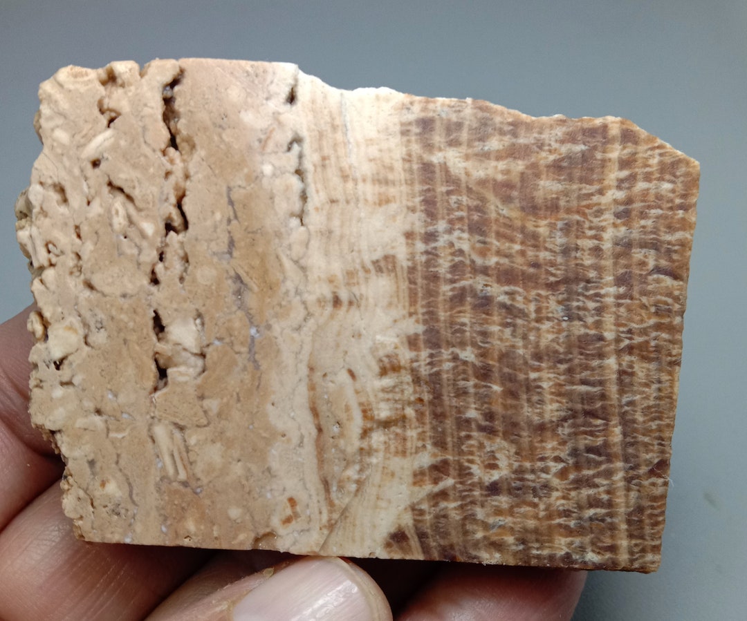 Raw Brown Aragonite Crystal Slab: Natural Pearuven Stone (329.00ct ...
