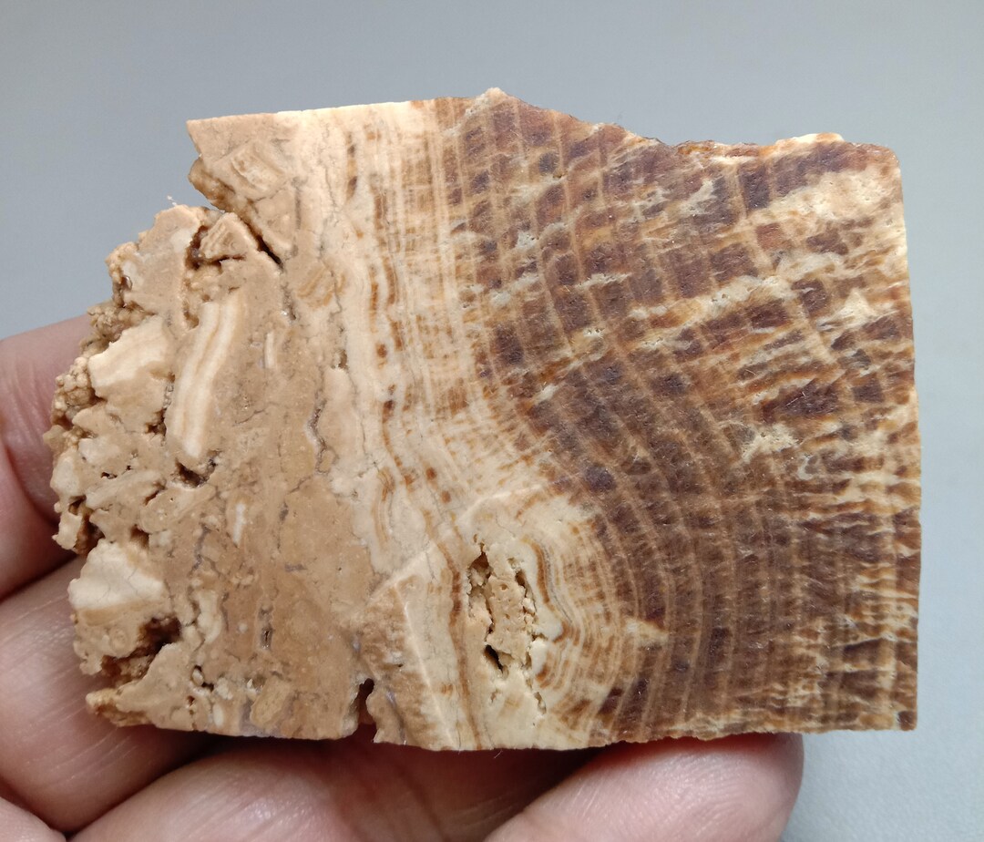 Aragonite Raw Brown Pearuven Crystal Mineral Specimen Brown Aragonite ...