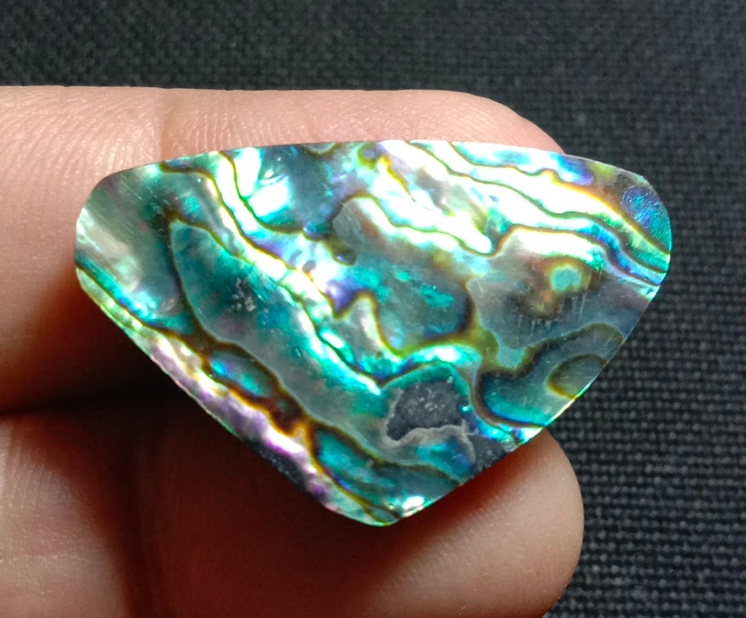 Abalone Seashell Cabochon Australian Shell Natural Rainbow Abalone ...