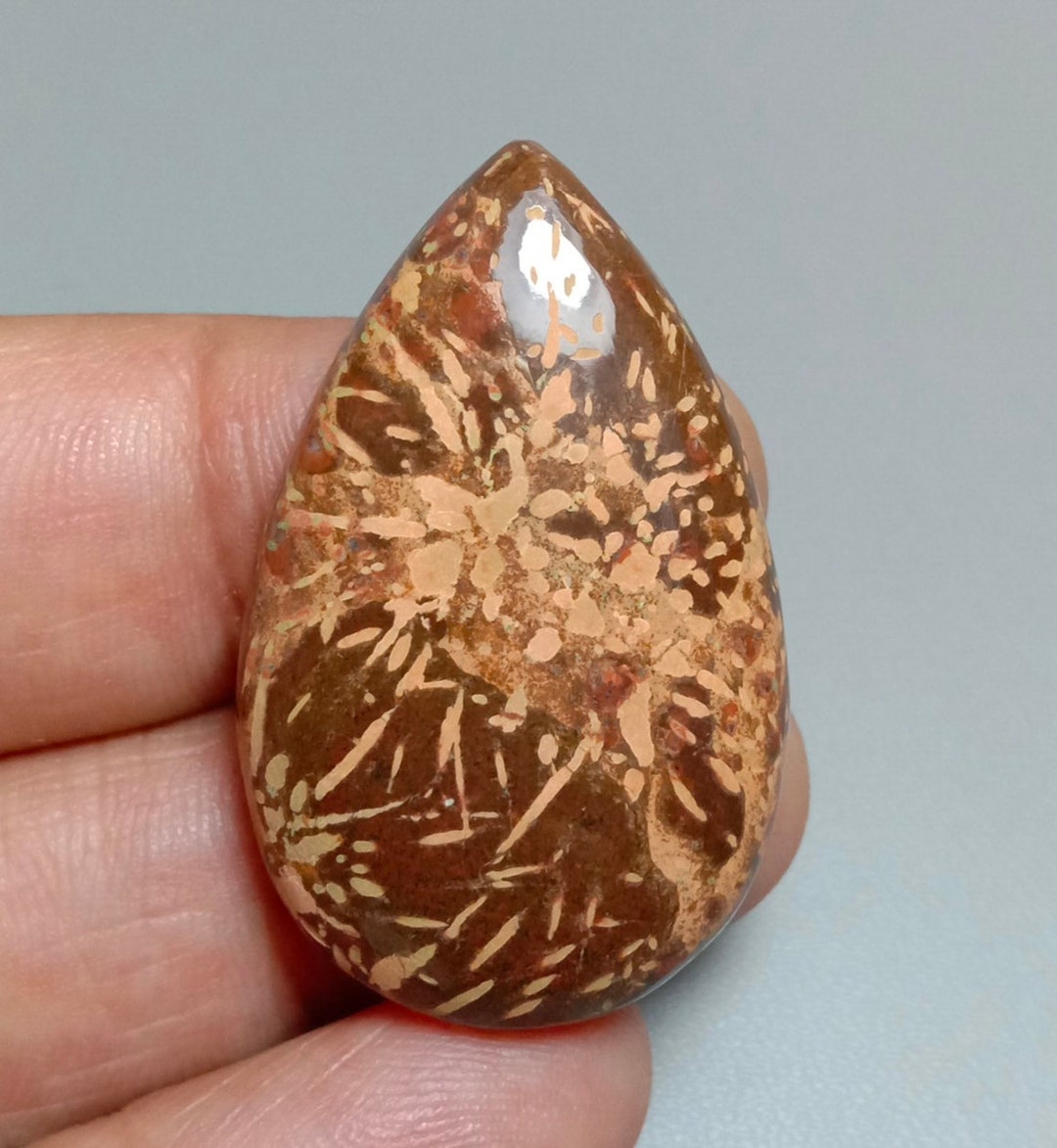 Starburst Jasper Firecracker Jasper Spider Jasper Crystal for ...