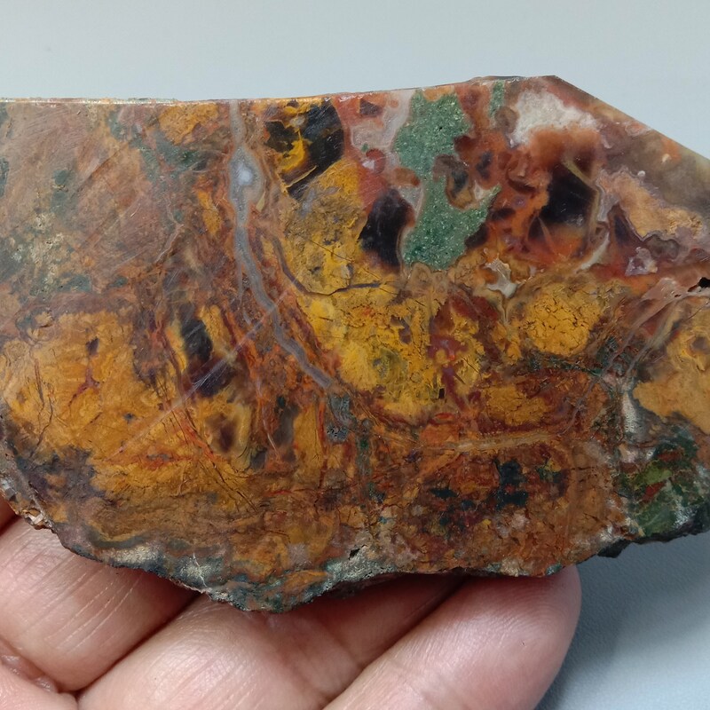 Petrified Wood Slab - Etsy