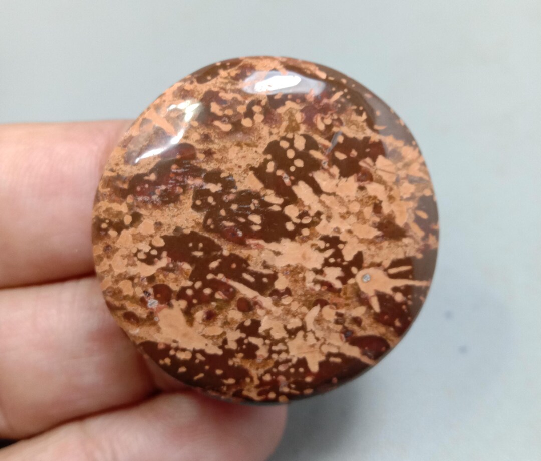 Jasper - Starburst Jasper - Spider Jasper - Crystal for Creativity ...