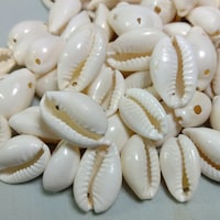 Cowrie Shells - Etsy