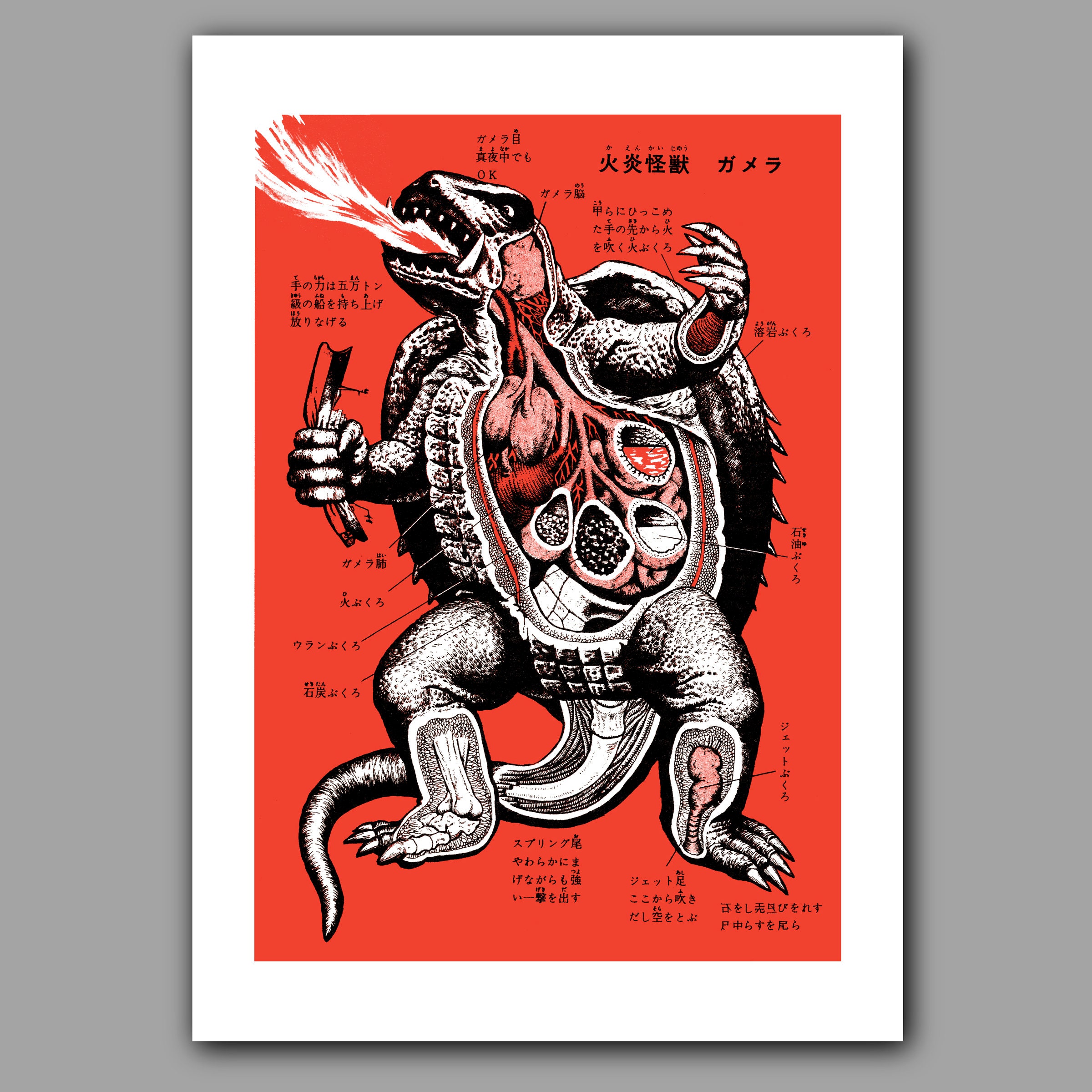 KAIJU : GAMERA ANATOMY Large Screenprint Red Poster (A2) - Etsy