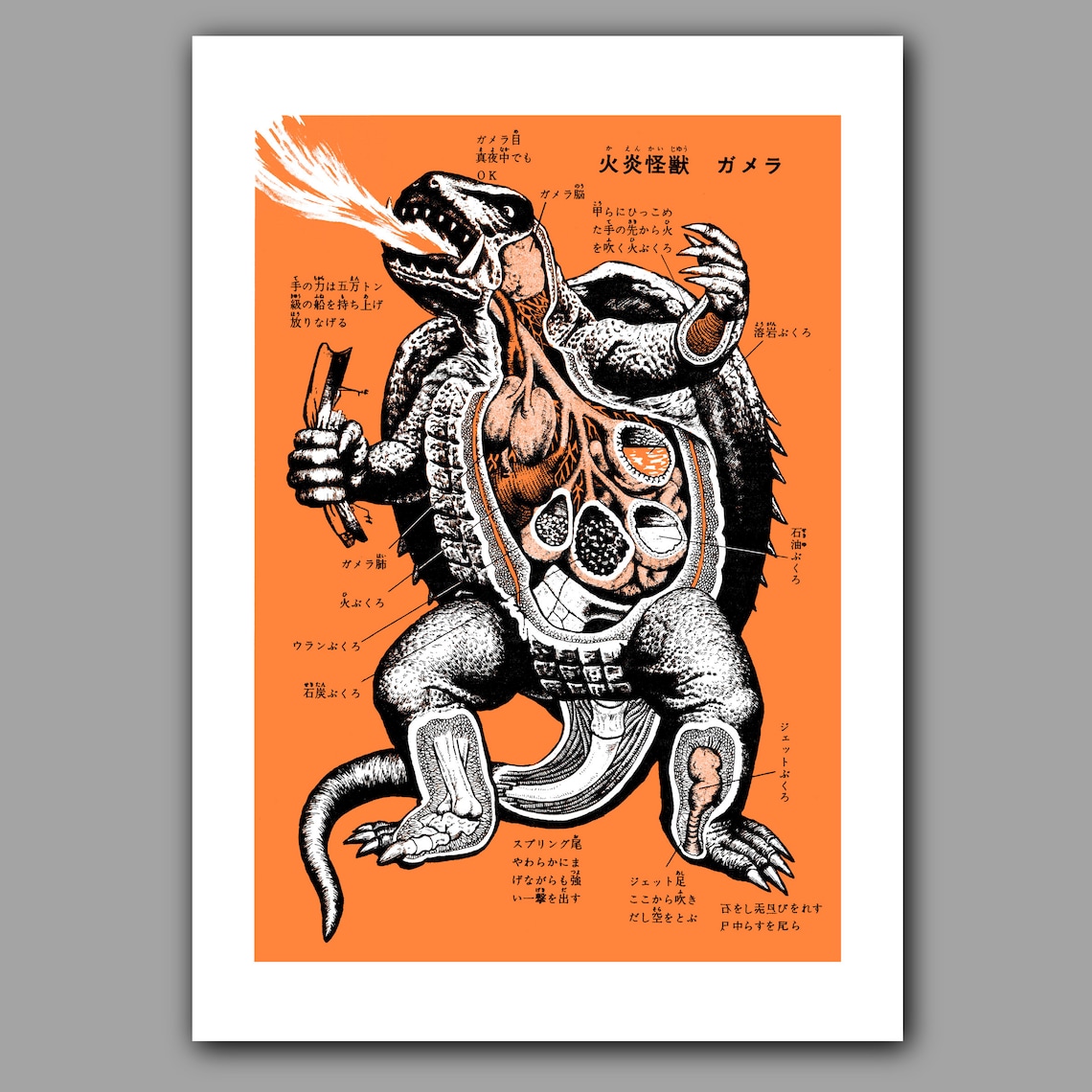 KAIJU : GAMERA ANATOMY Large Screenprint Orange Poster A2 | Etsy