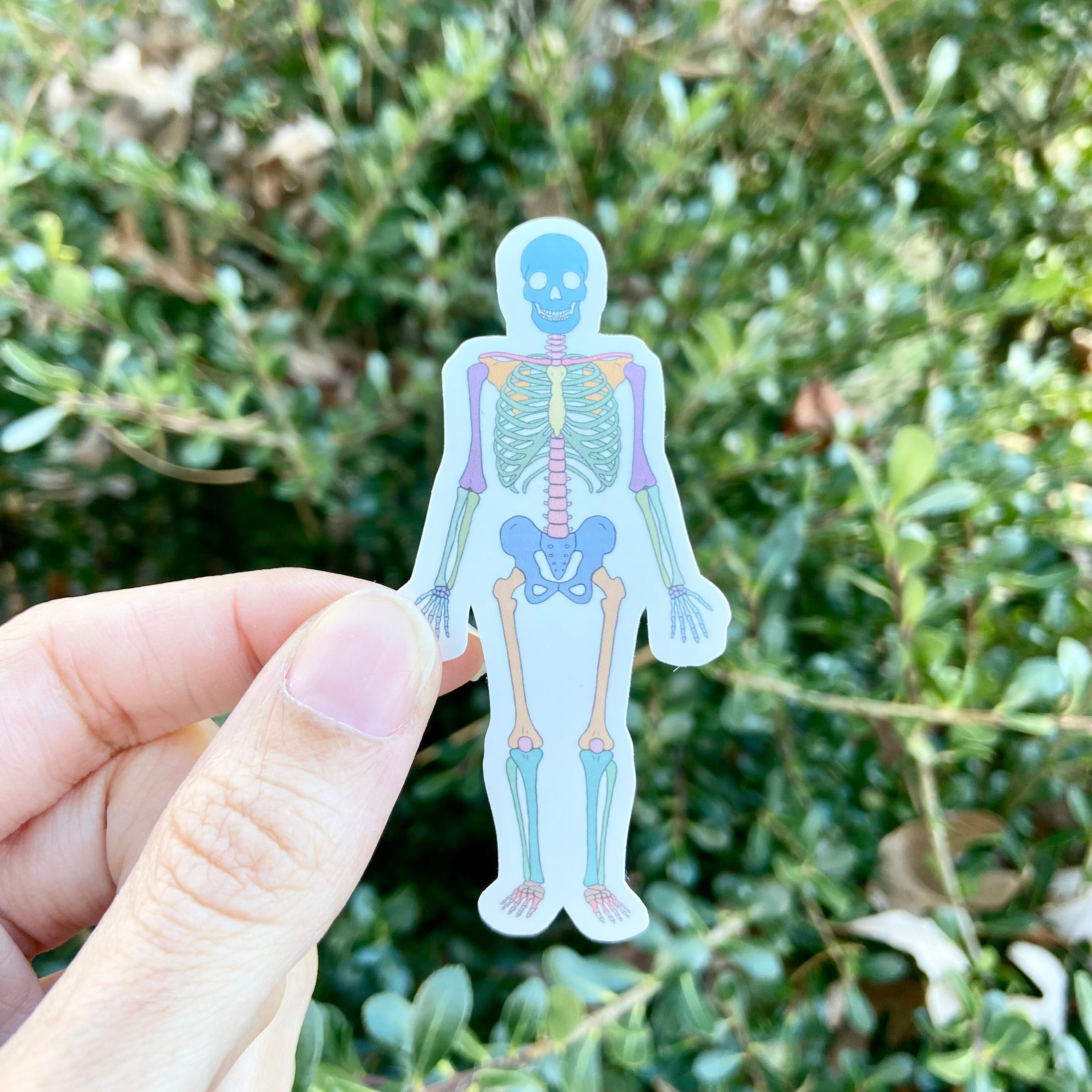 Skeleton Stickers Rainbow Skeleton Sticker Goth Stickers | Etsy