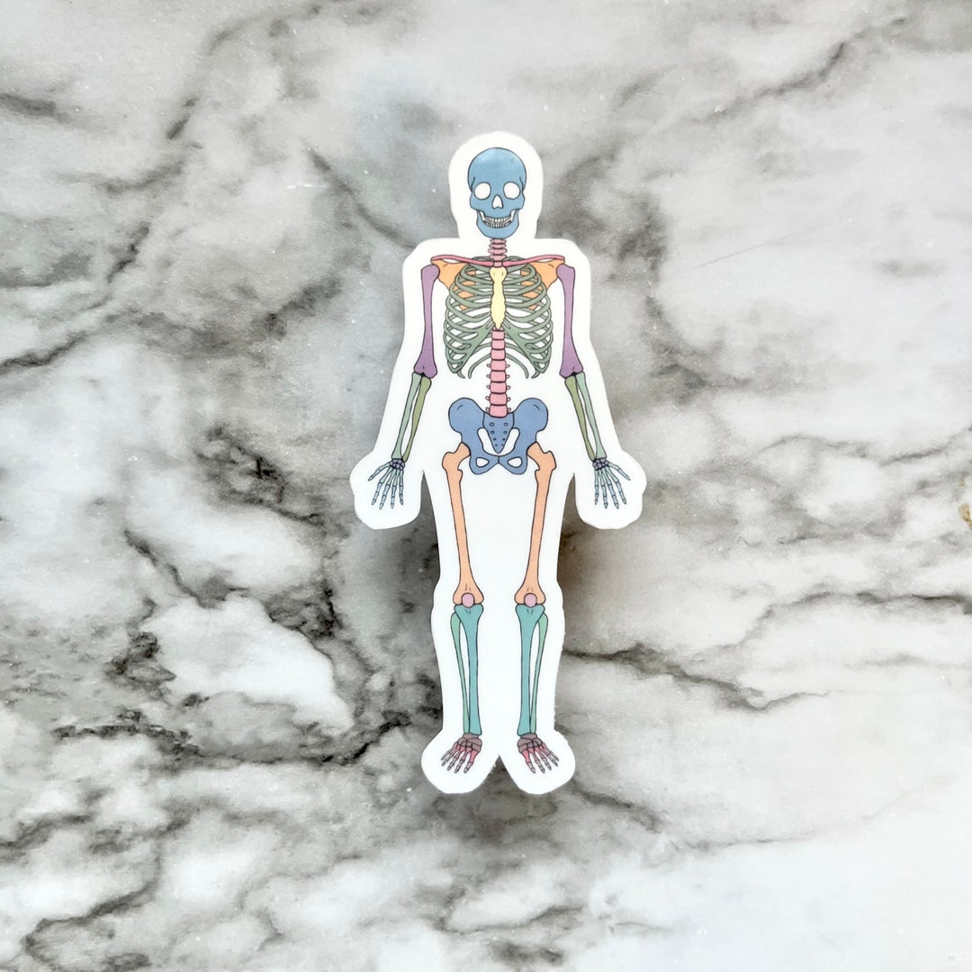 Skeleton Stickers Rainbow Skeleton Sticker Goth Stickers Halloween ...
