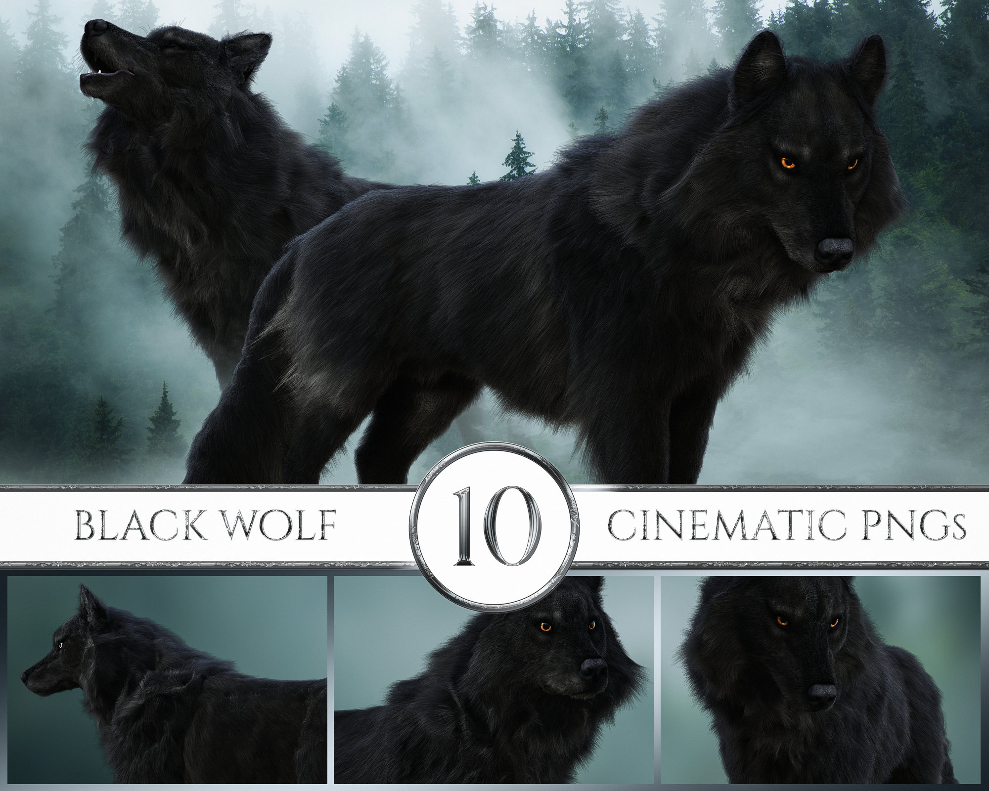 10 Cinematic Realistic Black Wolf Overlays, Wolf Overlays, Realistic ...