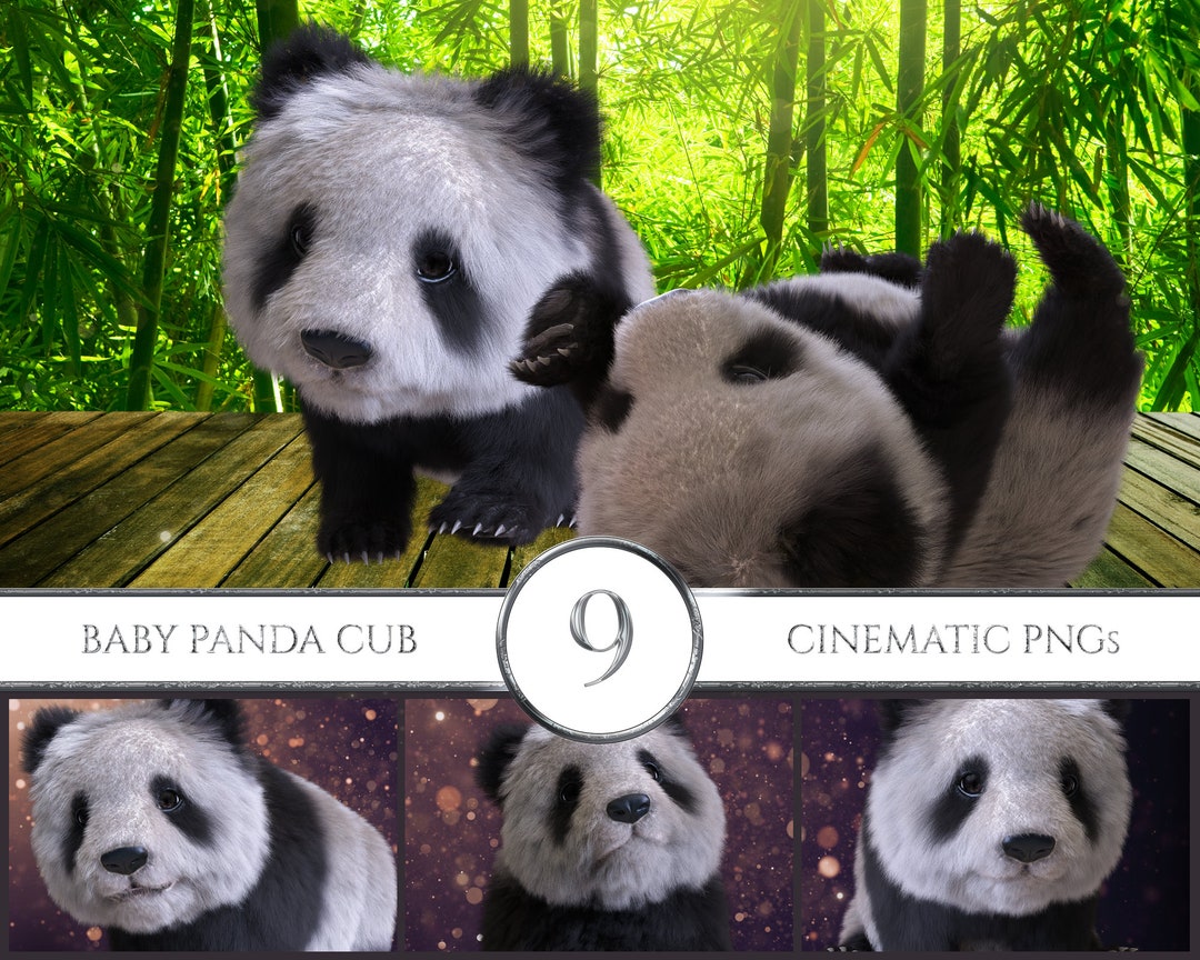 9 Panda Cub Overlays, Panda Overlays, Baby Panda Overlays, Panda ...