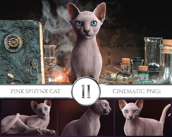 11 Cinematic Pink Sphynx Cat Overlays Photoshop Overlays Cat | Etsy
