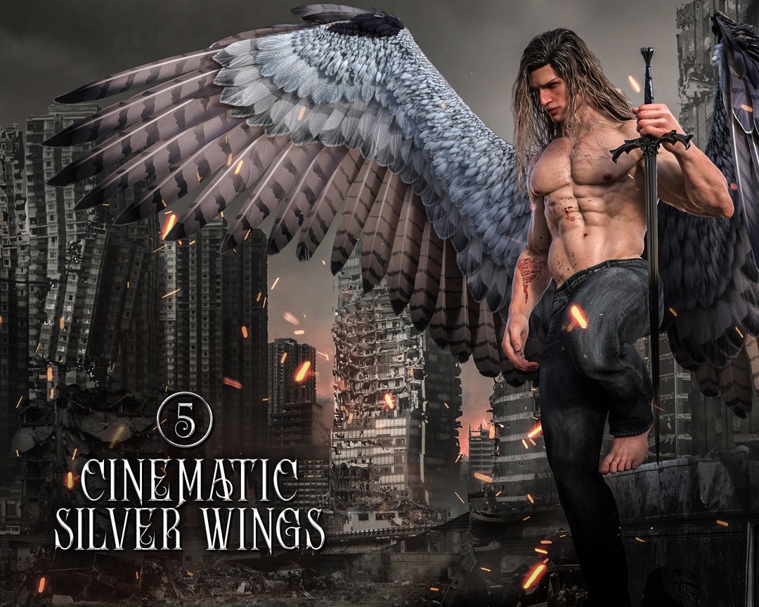 5 Cinematic Silver Wings Overlays for Digital Art and Book Covers ...