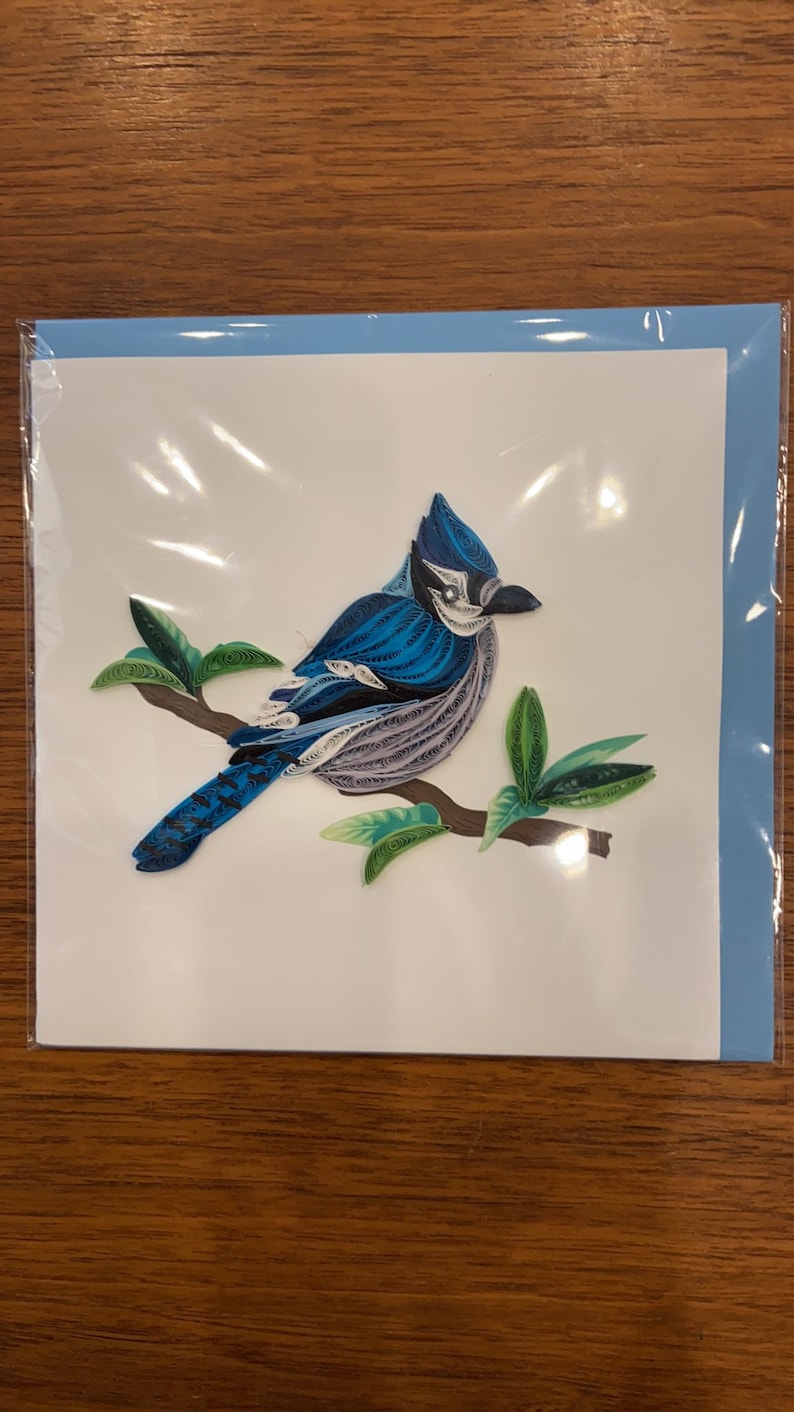 Handmade Paper Quilling Bird Greeting Cards 6.25x6, Fair Trade Vietnam ...